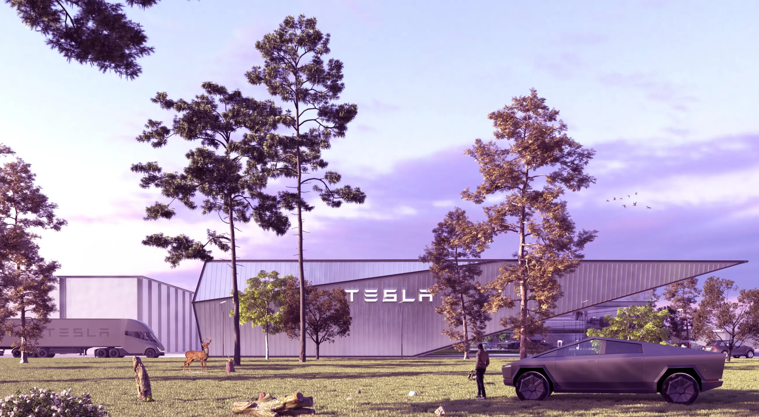 ARHI TERRA - Tesla Showroom